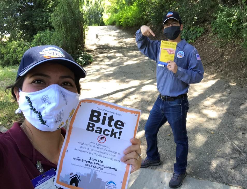 Bite Back Program | City Hall Scoop