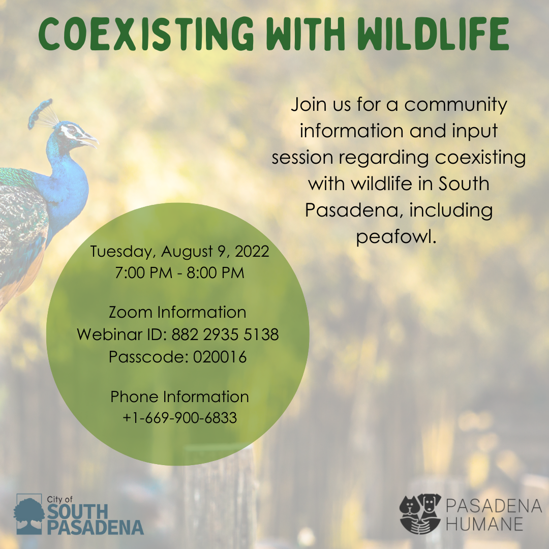 Coexisting With Wildlife Forum | City Hall Scoop