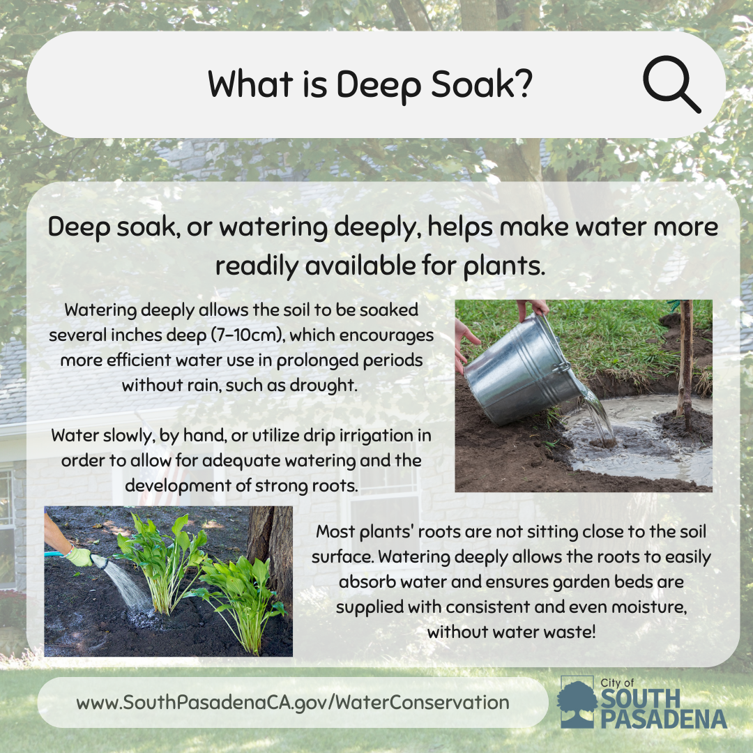 Water Wednesday; What is Deep Soak? | City Hall Scoop