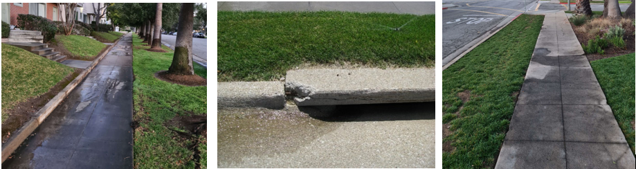 Water Runoff | City Hall Scoop