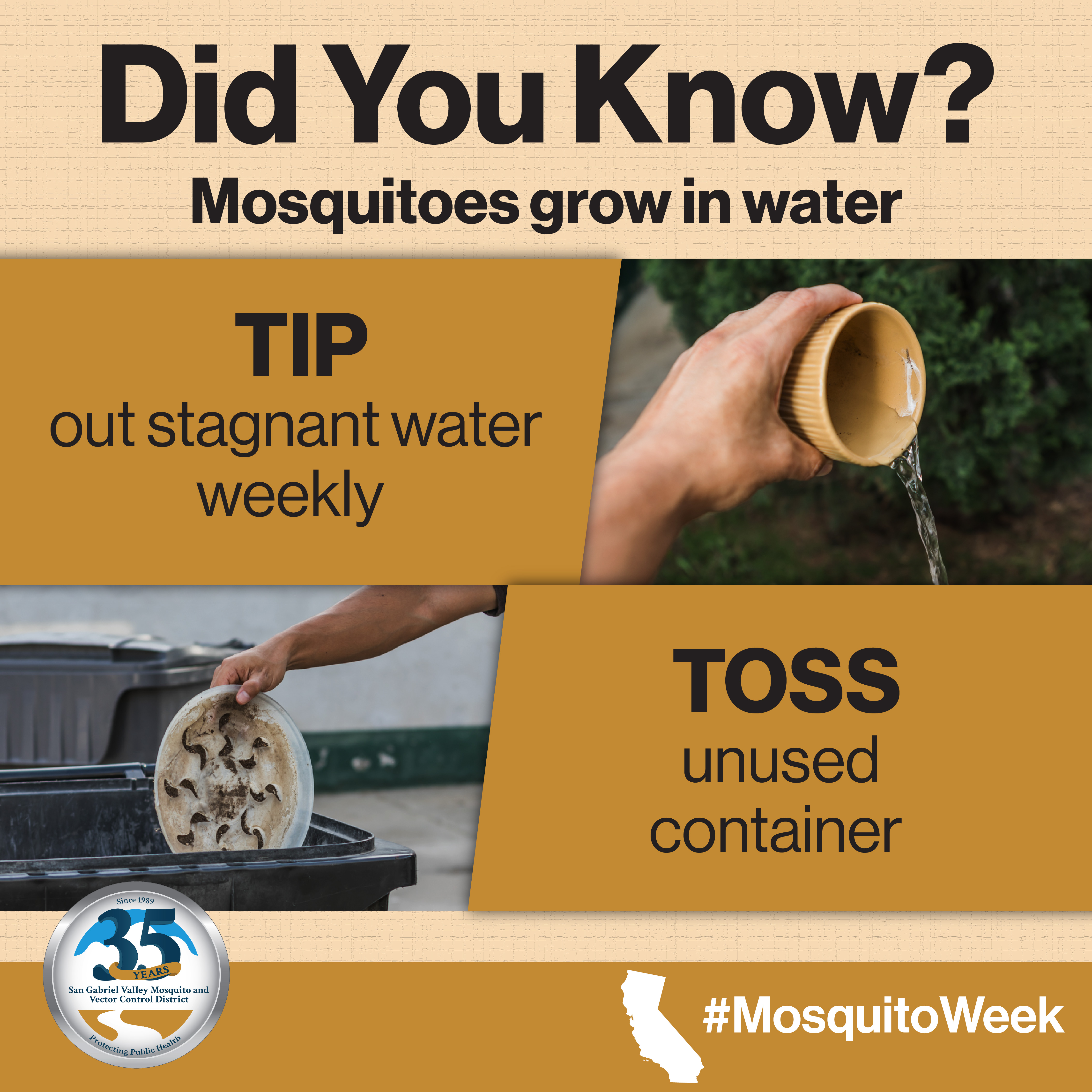 Mosquito Week | City Hall Scoop